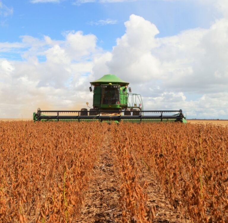 Região do Matopiba é a fronteira agrícola que mais cresce no Brasil ...